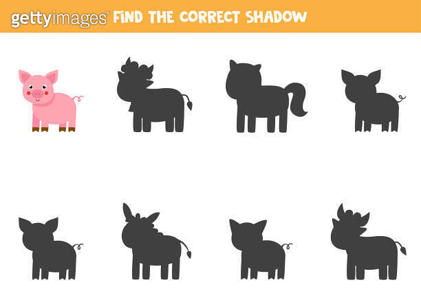 Find the correct shadow of cute pig. Logical puzzle for kids. 이미지 ...
