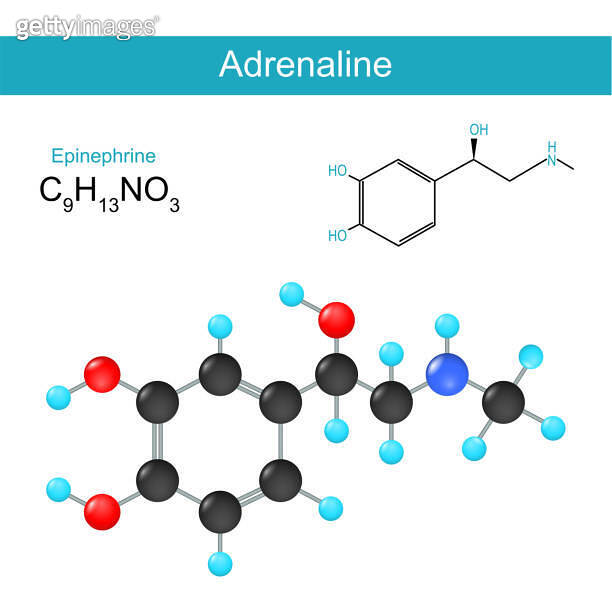 Adrenaline molecular chemical structural formula 이미지 (1356980697) - 게티이미지뱅크