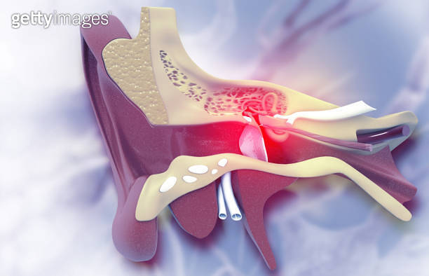 The anatomical structure of the human ear, sound wave and ear with ...