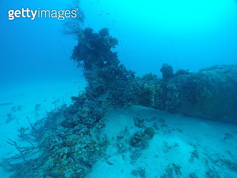 Japanese navy airplane JAKE seaplane in WW2 이미지 (1345978706) - 게티이미지뱅크