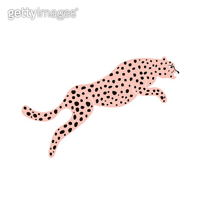 Hand drawn jumping leopard separated on white. Trendy Jungle print ...