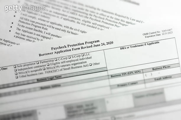 selective focus photo of paycheck protection program borrower ...