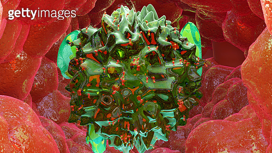 3d illustration of Mastocyte, Mast cell, 3d render (1330595213) - 게티이미지뱅크