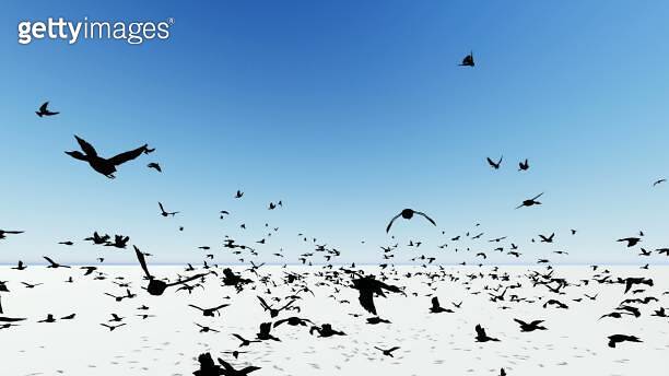 3D illustration - Flock of birds flying across the screen. (1313876131 ...