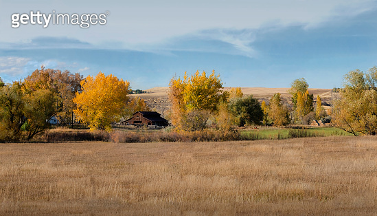 Prairie Open Space Along East Boulder Trail, Colorado 이미지 (1352977214 ...