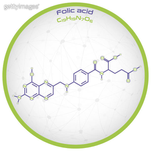 Infographic of the molecule of Folic Acid 이미지 (1334630840) - 게티이미지뱅크