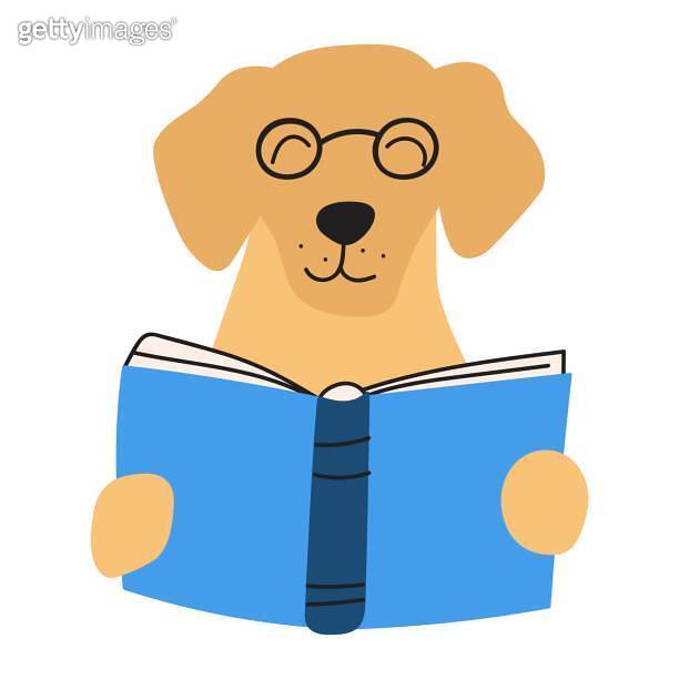 Labrador Retriever reading a book. 이미지 (1336650125) - 게티이미지뱅크