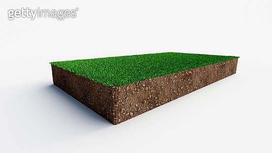 Patch of grass field with healthy soil in rectangular shape 3d ...