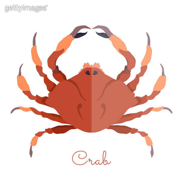 Single Crab in flat style isolated on white 이미지 (1315216572) - 게티이미지뱅크