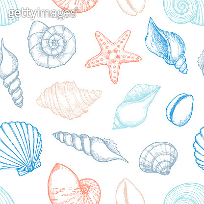 Hand drawn vector illustrations - seamless pattern of seashells. Marine ...