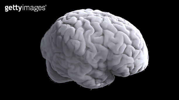 3D digital visualization of the brain is a computer model that contains ...