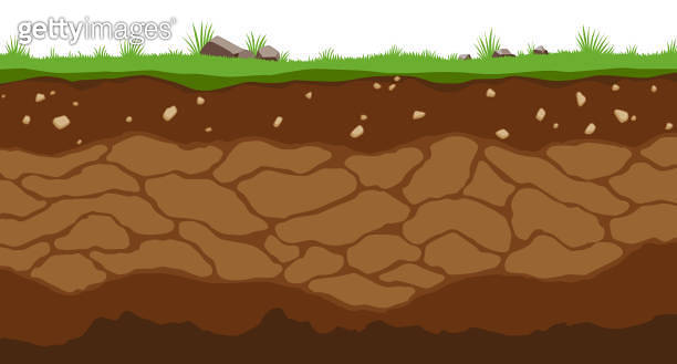 Surface horizons of soil layers. Earth structure with a mixture of ...