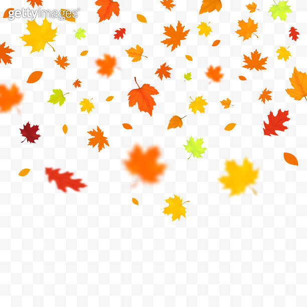 Autumn falling leaves isolated 이미지 (1327266867) - 게티이미지뱅크
