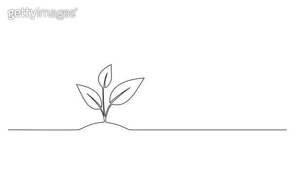 continuous line drawing of seedling on ground 이미지 (1345291086) - 게티이미지뱅크
