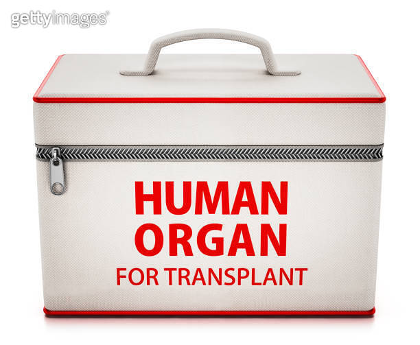 Human organ transport case isolated on white 이미지 (1303651714) - 게티이미지뱅크