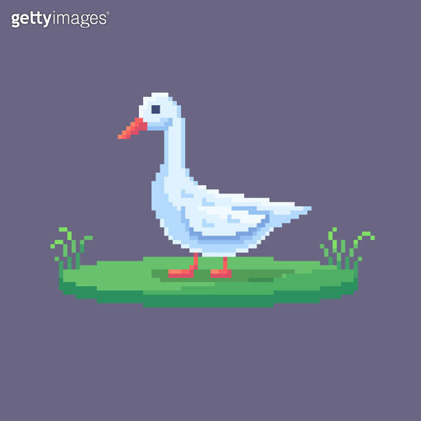 Pixel art goose. Farm animal for game design. (1324881776) - 게티이미지뱅크