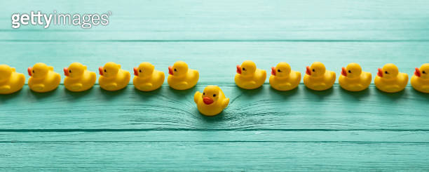 Line of yellow rubber ducks moving in an orderly line, with one duck ...