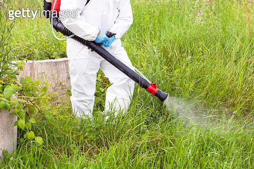 Pest control worker spraying insecticides or pesticides outdoor 이미지 ...