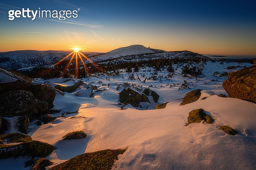 snowy landscape with trees and dwarf pine during sunset 이미지 (1302835110 ...