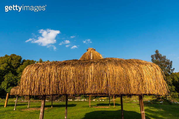 Straw canopy on grass at beach in Fethiye, Turkey 이미지 (1355326953) - 게티 ...