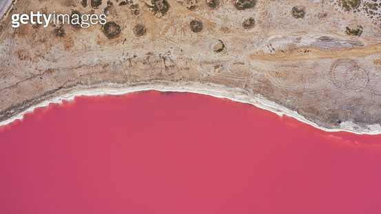Aerial drone top down photo of a natural pink lake and coast Genichesk ...