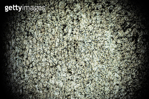 orange seed peel under light microscope with a magnification of 40 ...