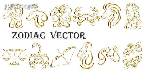 Vector graphic illustration of golden zodiac signs. All zodiac signs in ...