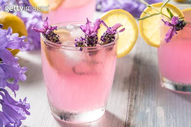 Pink lemonade with lavender flowers infused, ice and lemon slices in ...