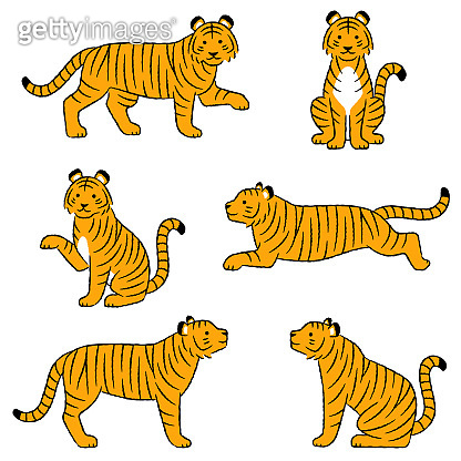 Illustration set of yellow tigers in various poses 이미지 (1354811978 ...