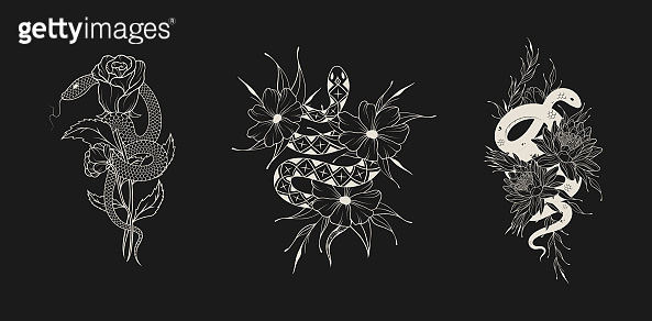 Hand drawn set of three vector illustrations with snakes wrap around ...