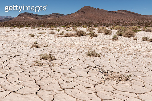 Dry and cracked ground with dry vegetation in the desert 이미지 ...