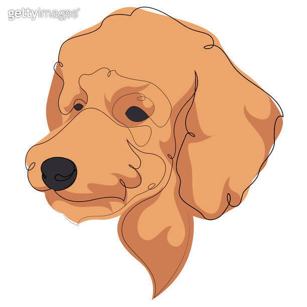 Continuous line brown poodle. Single line minimal style Poodle dog ...