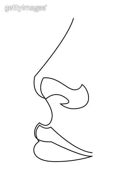 Nose and lips abstract drawing. One line girl or woman portrait design ...