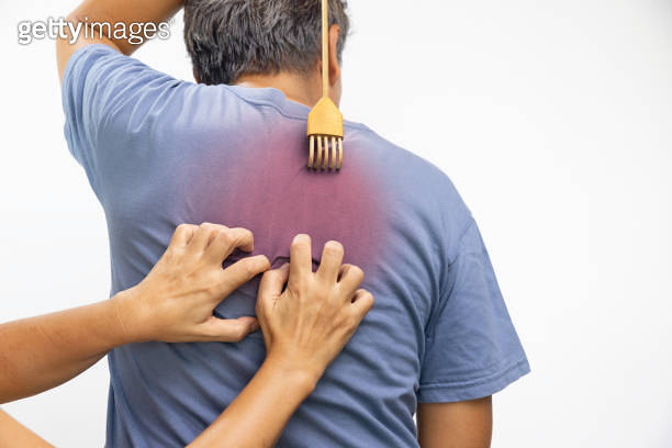 Senior man scratching his back with a back scratcher. 이미지 (1336031409 ...