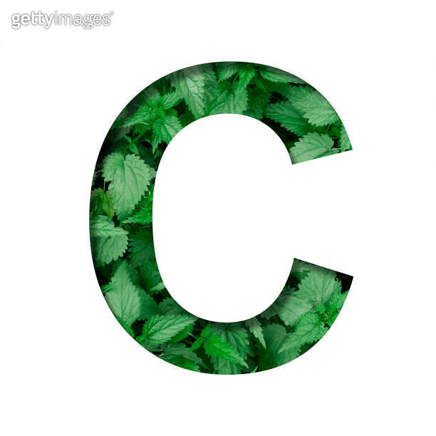 Font made of leaves, letter C, cut out of paper on a background of ...