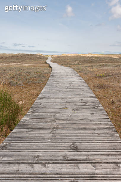 Road and nature. It is about wooden pavement, floor, passage, path ...