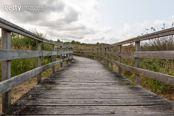 Road and nature. It is about wooden pavement, floor, passage, path ...