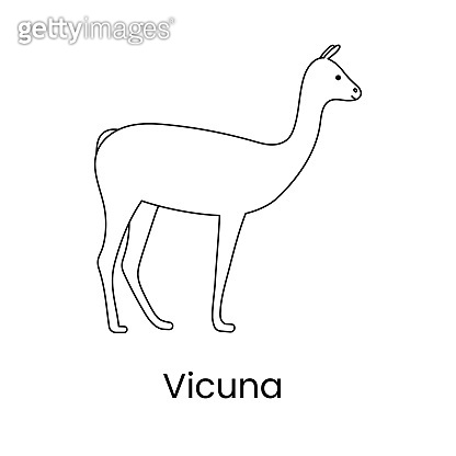 Vicuna icon line in vector, illustration of an animal. (1421153197 ...