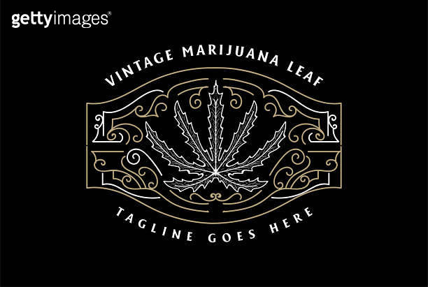Vintage Retro Marijuana Cannabis Leaf with Ornament for Hemp CBD Oil ...