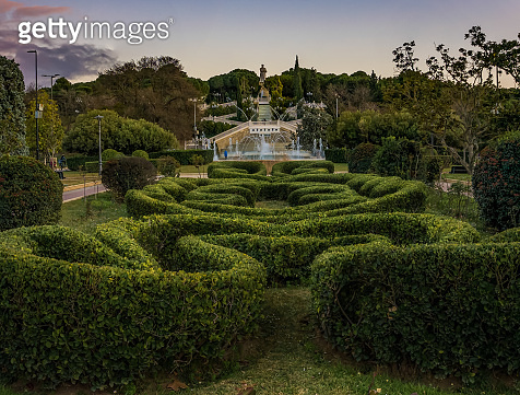 sinuously shaped hedges in the park 이미지 (1362659938) - 게티이미지뱅크
