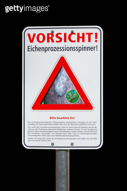 warning sign oak processionary moth in Germany 이미지 (1406762413) - 게티이미지뱅크