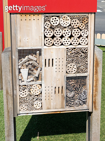 Wooden bug hotel insect house wood shelter cabin for wild insects in ...