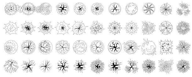 Trees and plants top view. Icon set of uncolored trees and grass for ...