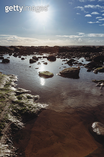 Rocks and rock pools near St Mary's Island on a bright Spring day 이미지 ...