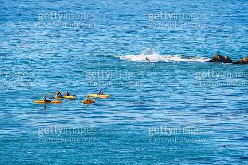 Ocean kayaking. Group of people paddling kayaks along the Pacific ocean ...