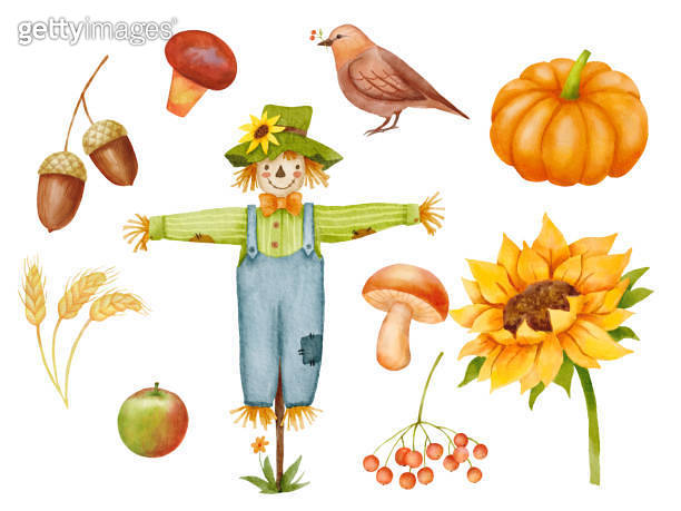 Fall set with wheat and acorns. Watercolor scarecrow character with ...
