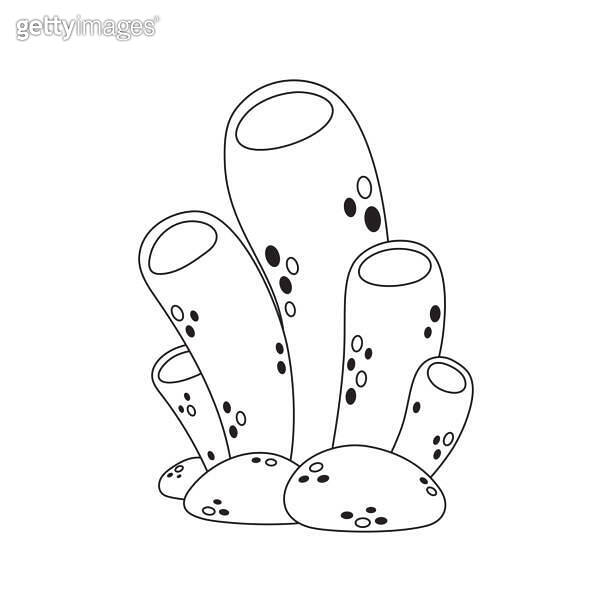 cute algae in silhouette isolated on white 이미지 (1404241435) - 게티이미지뱅크