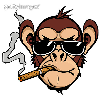 Funny chimpanzee smoking a cigar with sunglasses 이미지 (1412516946) - 게티이미지뱅크