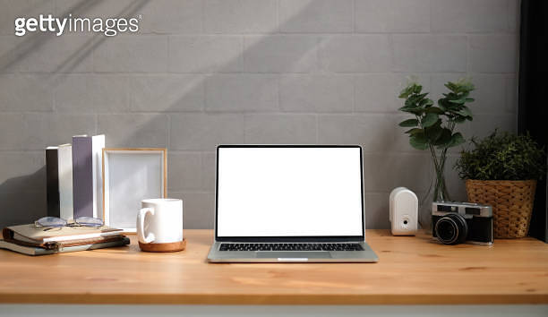 Front view computer laptop, camera, potted plant, books and picture ...