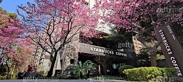 Starbucks in linko, New Taipei City, Taiwan during springtime with full ...